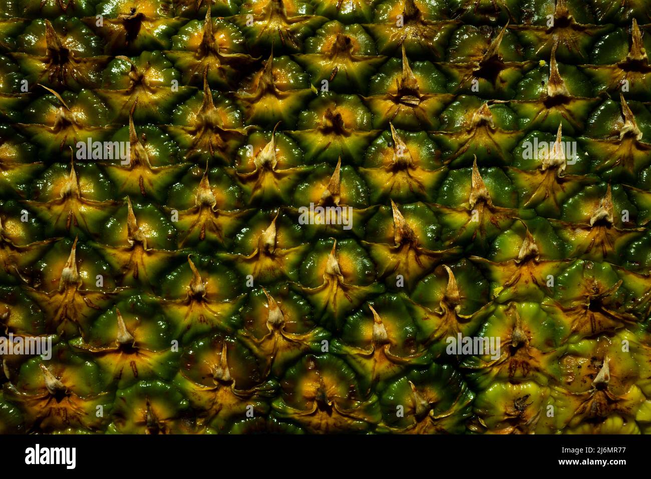 Pineapple skin close up. Pineapple pattern. Pineapple bark Stock Photo ...