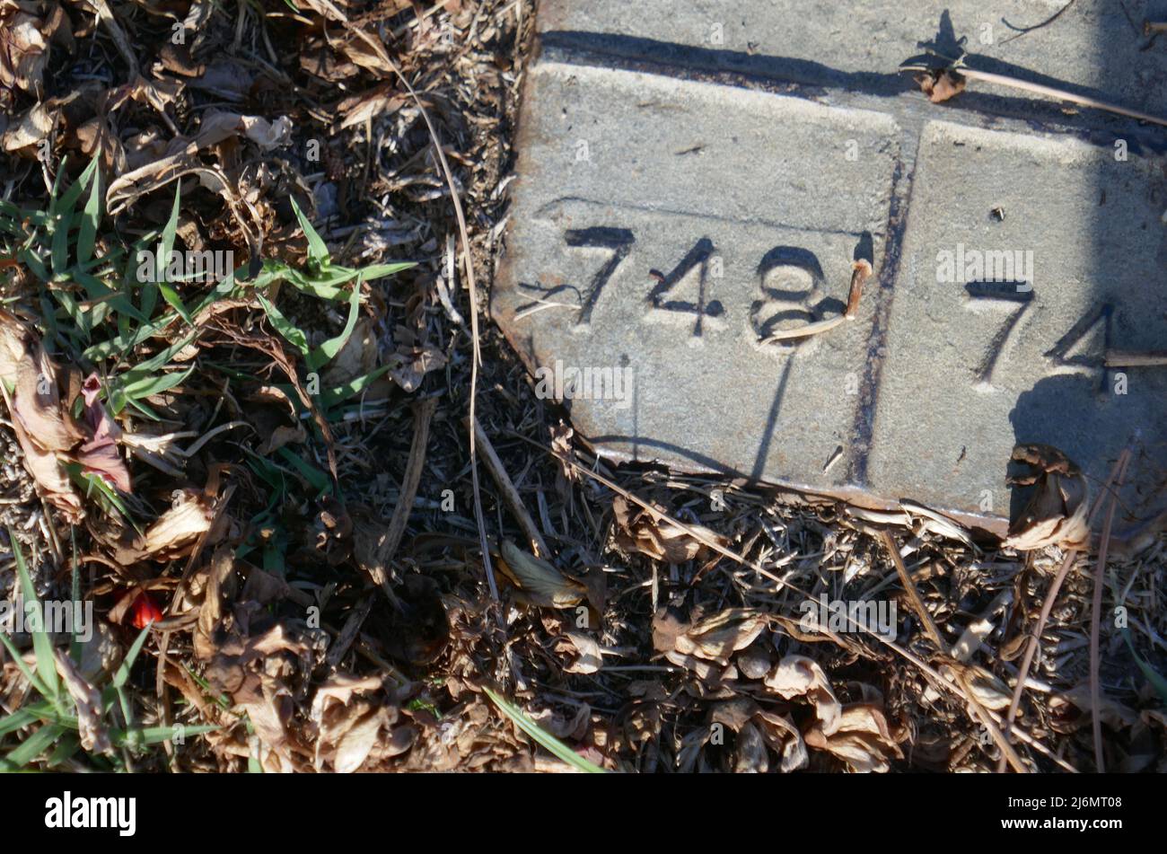 Inglewood, California, USA 29th April 2022 Actor Ray 'Crash' Corrigan's ...