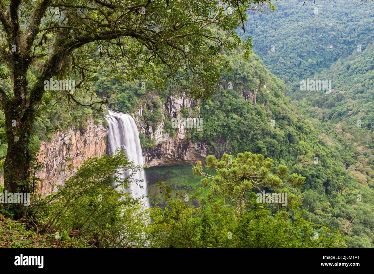 Canela gramado hi-res stock photography and images - Alamy