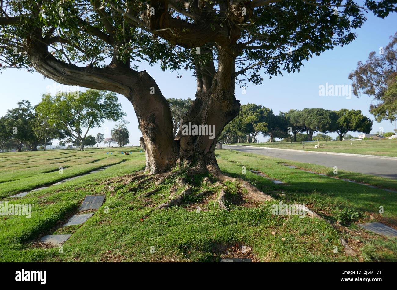 Inglewood, California, USA 29th April 2022 Actor Ray 'Crash' Corrigan's ...