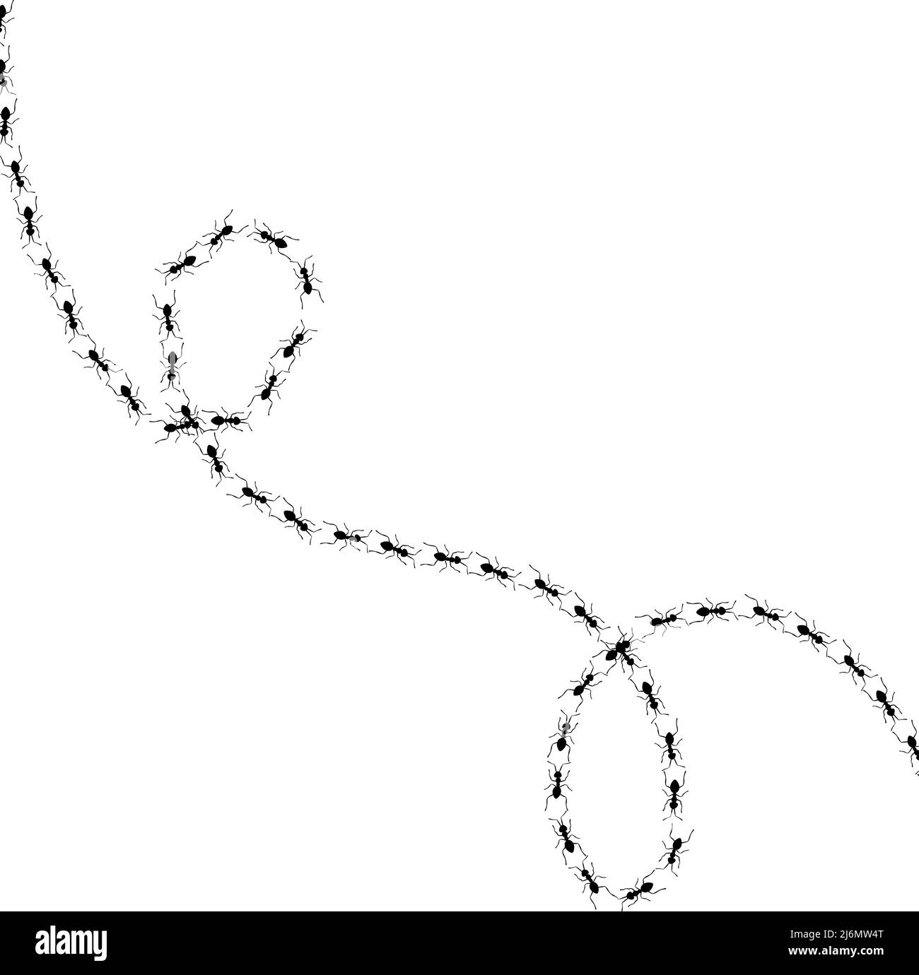 Anthill of ants Cut Out Stock Images & Pictures - Alamy