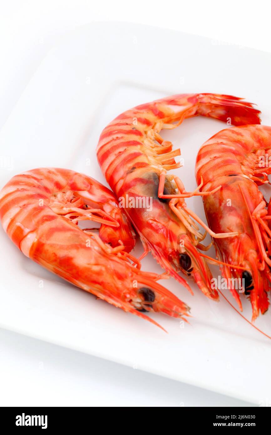 Cooked prawns hi-res stock photography and images - Alamy