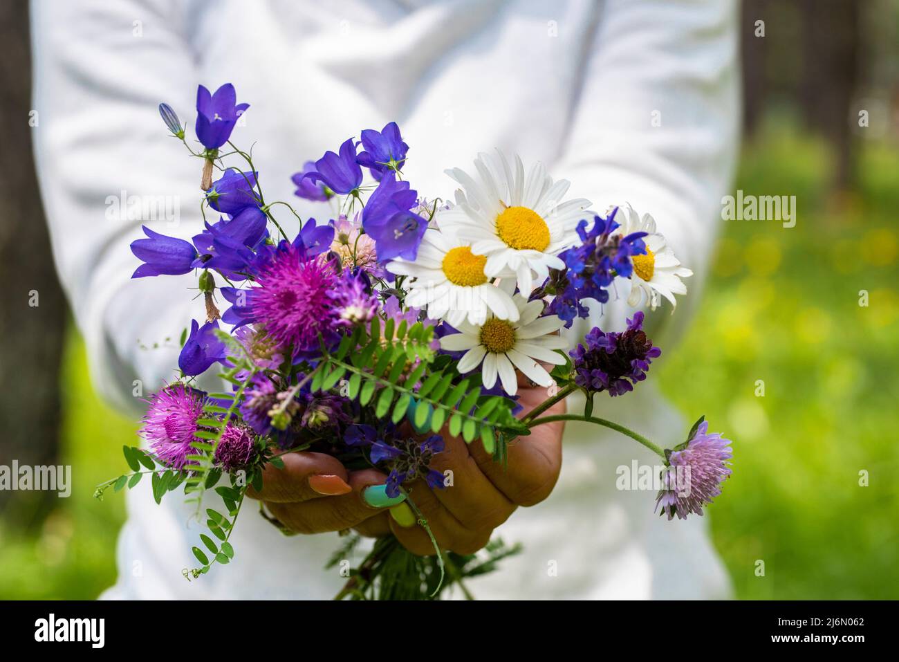 Floreal hi-res stock photography and images - Alamy