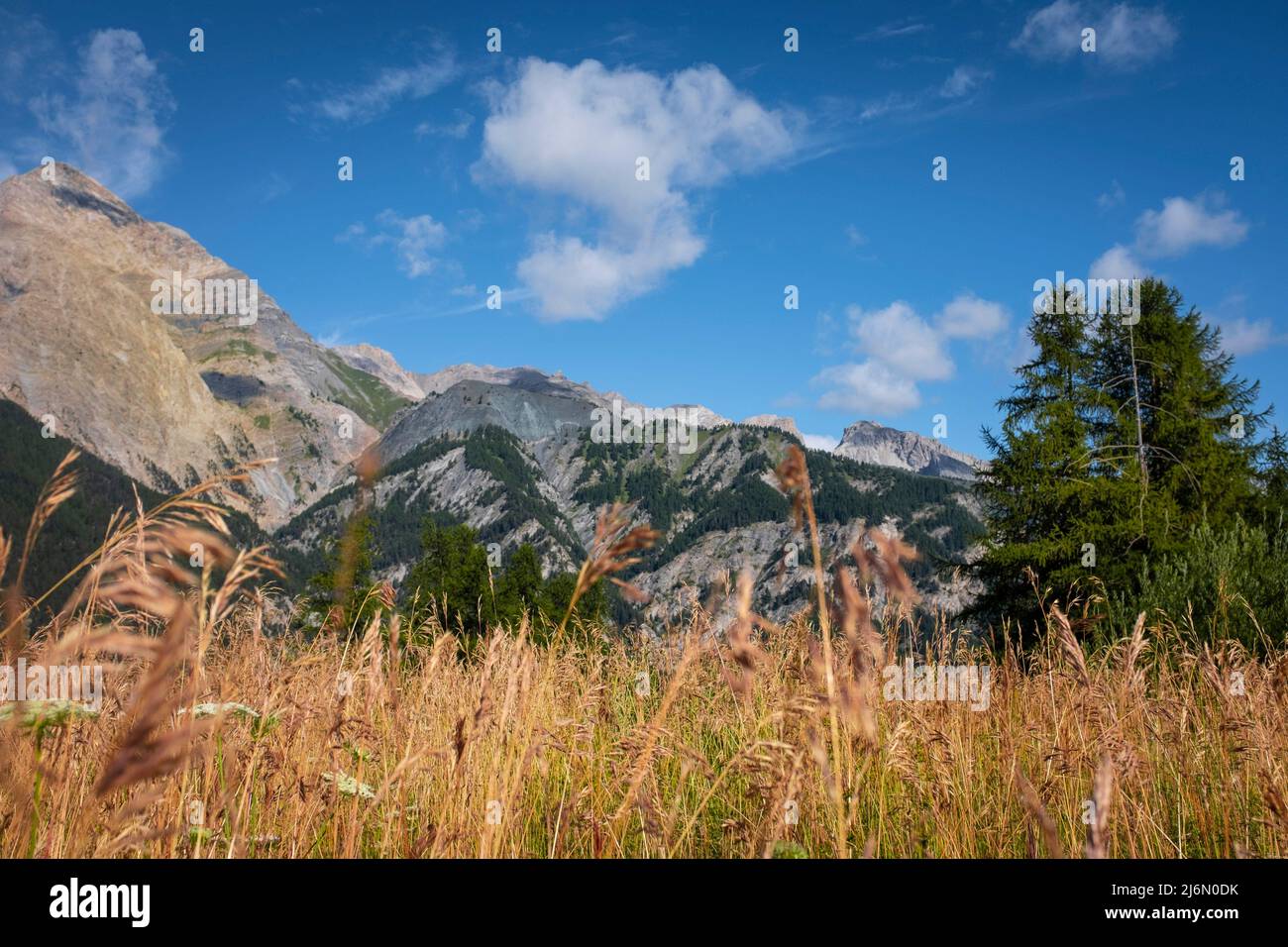 Environment panorama hi-res stock photography and images - Alamy