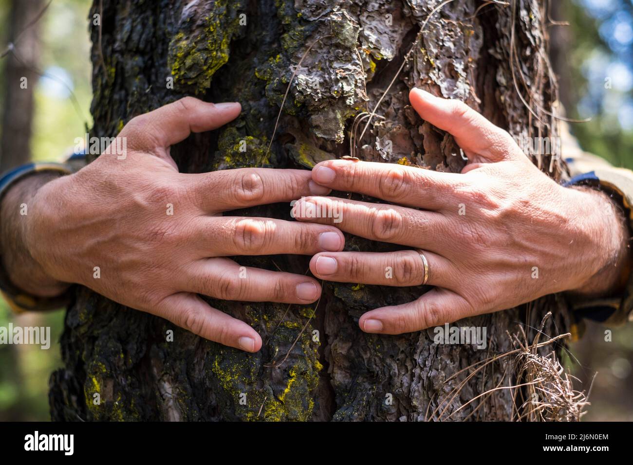 Male hand touching a tree hi-res stock photography and images - Alamy