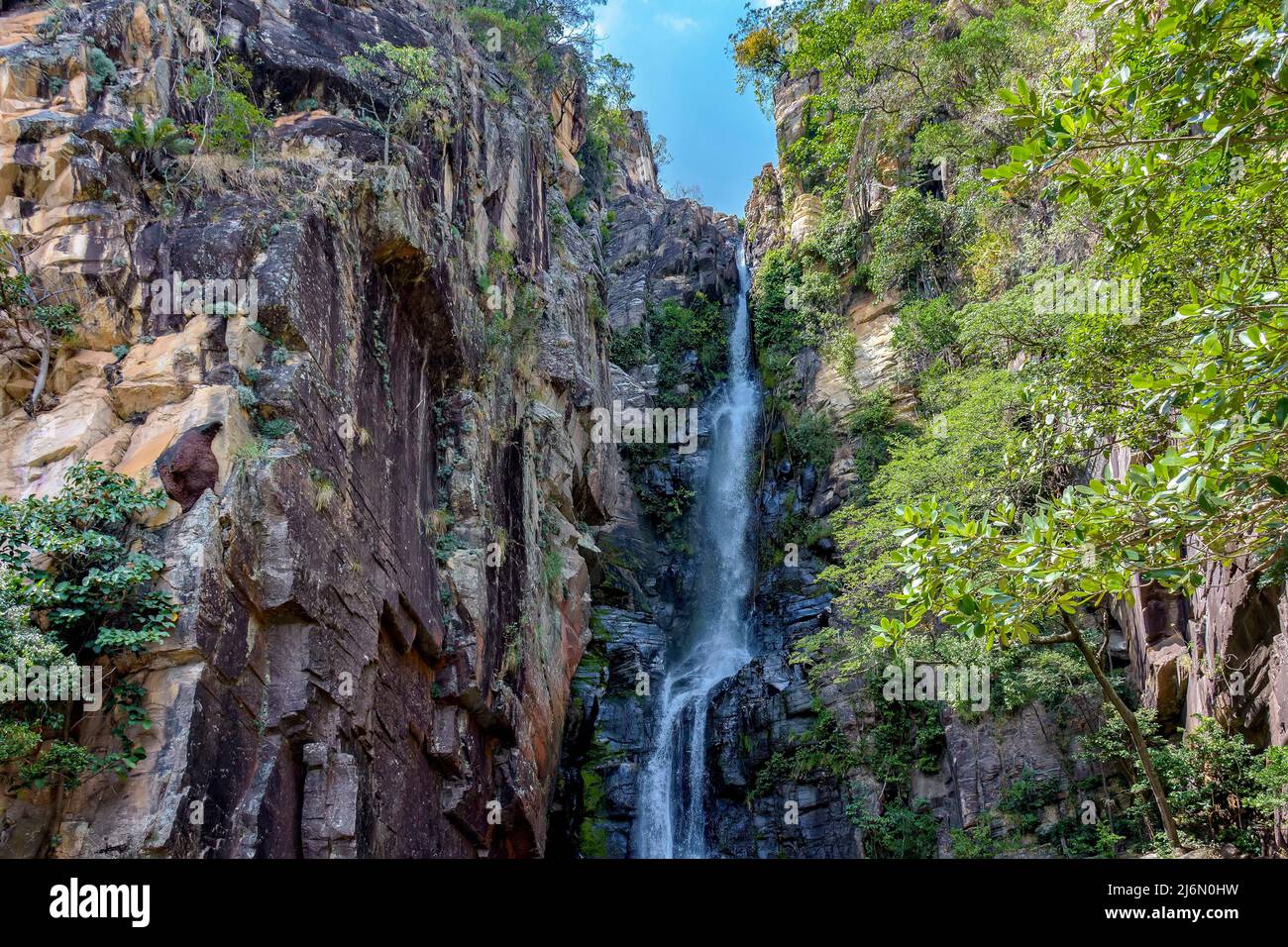Brazilian cerrado hi-res stock photography and images - Alamy