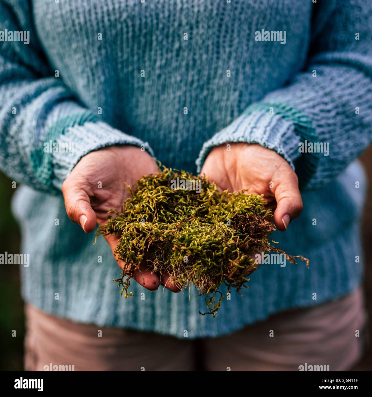 Respect of nature hi-res stock photography and images - Alamy