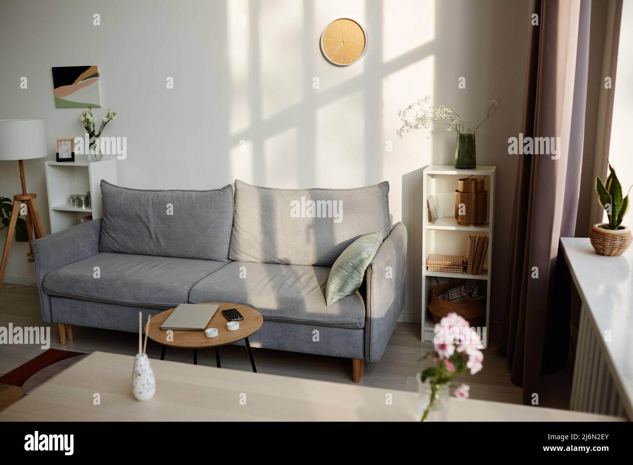 Background image of cozy living room interior with comfy velvet couch ...