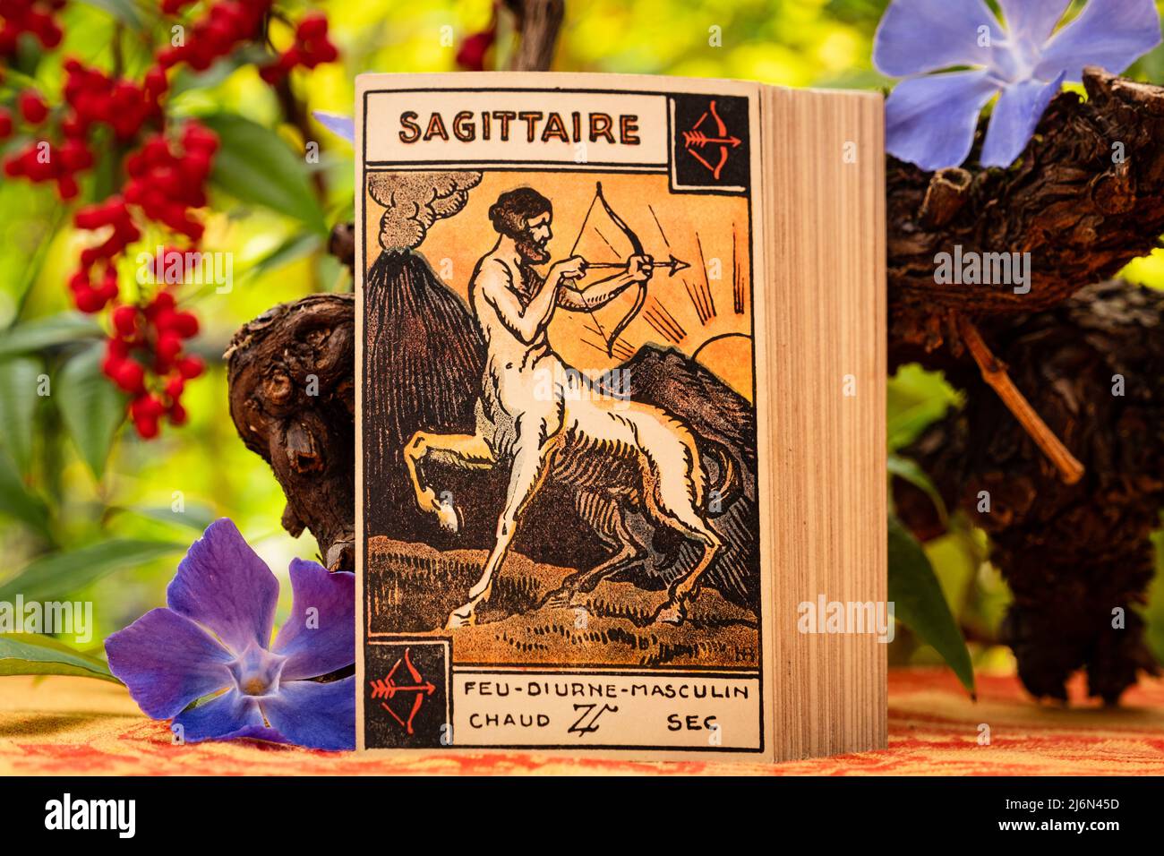 Concept of Horoscope Tarot cards of Zodiac Signs showing sagittarius or ...