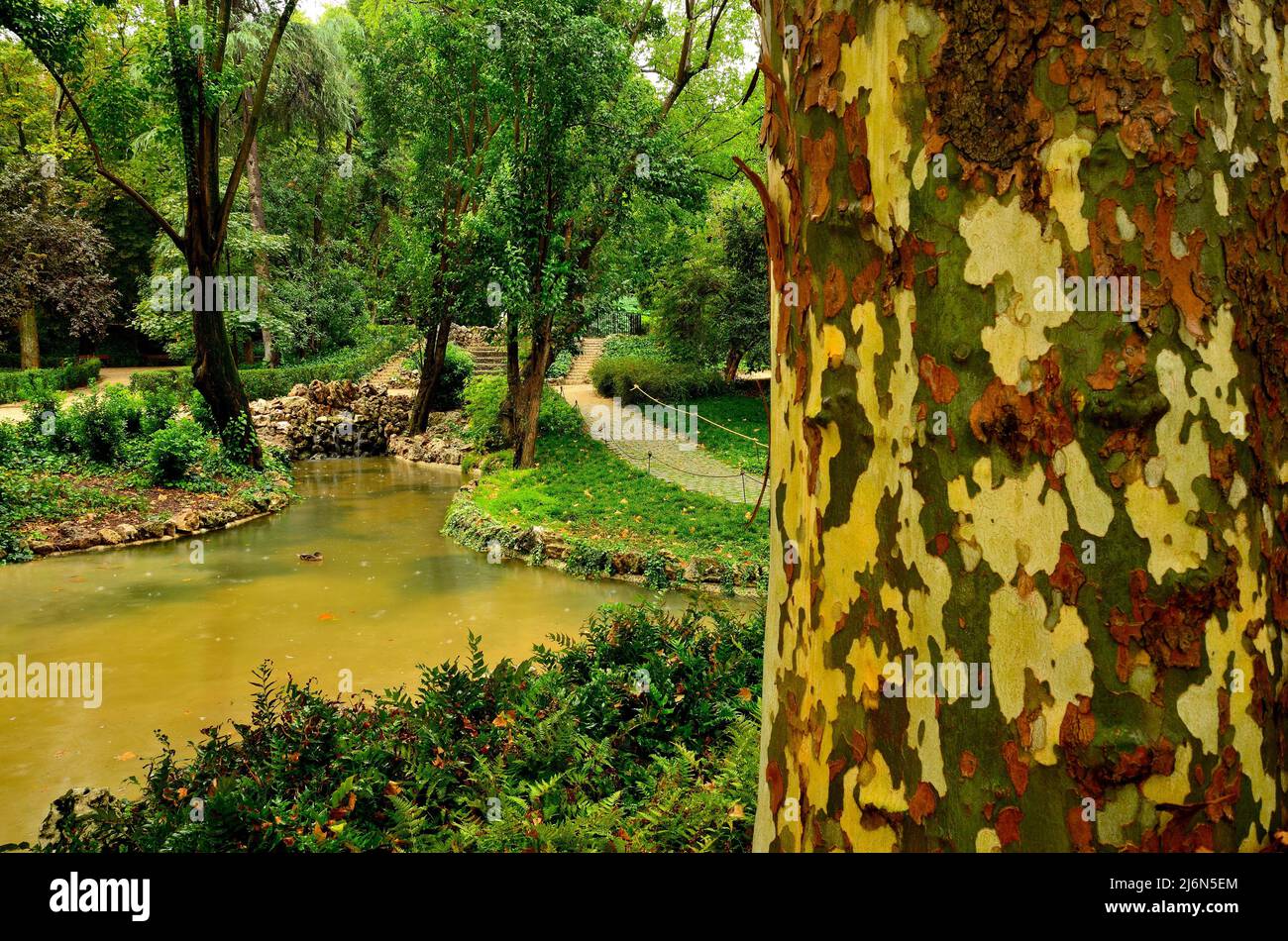 Madrid berro park hi-res stock photography and images - Alamy