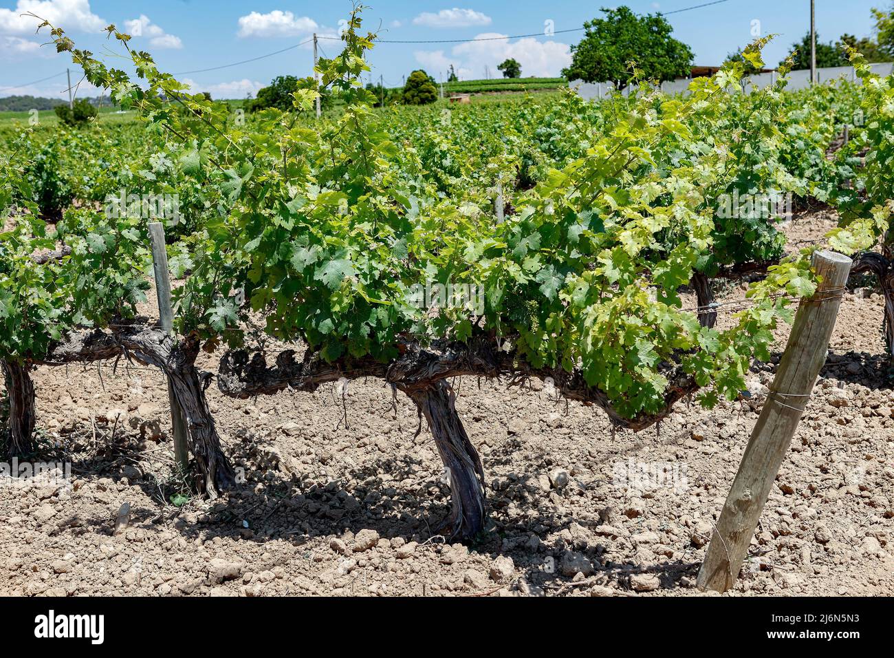 2000 years history hi-res stock photography and images - Alamy