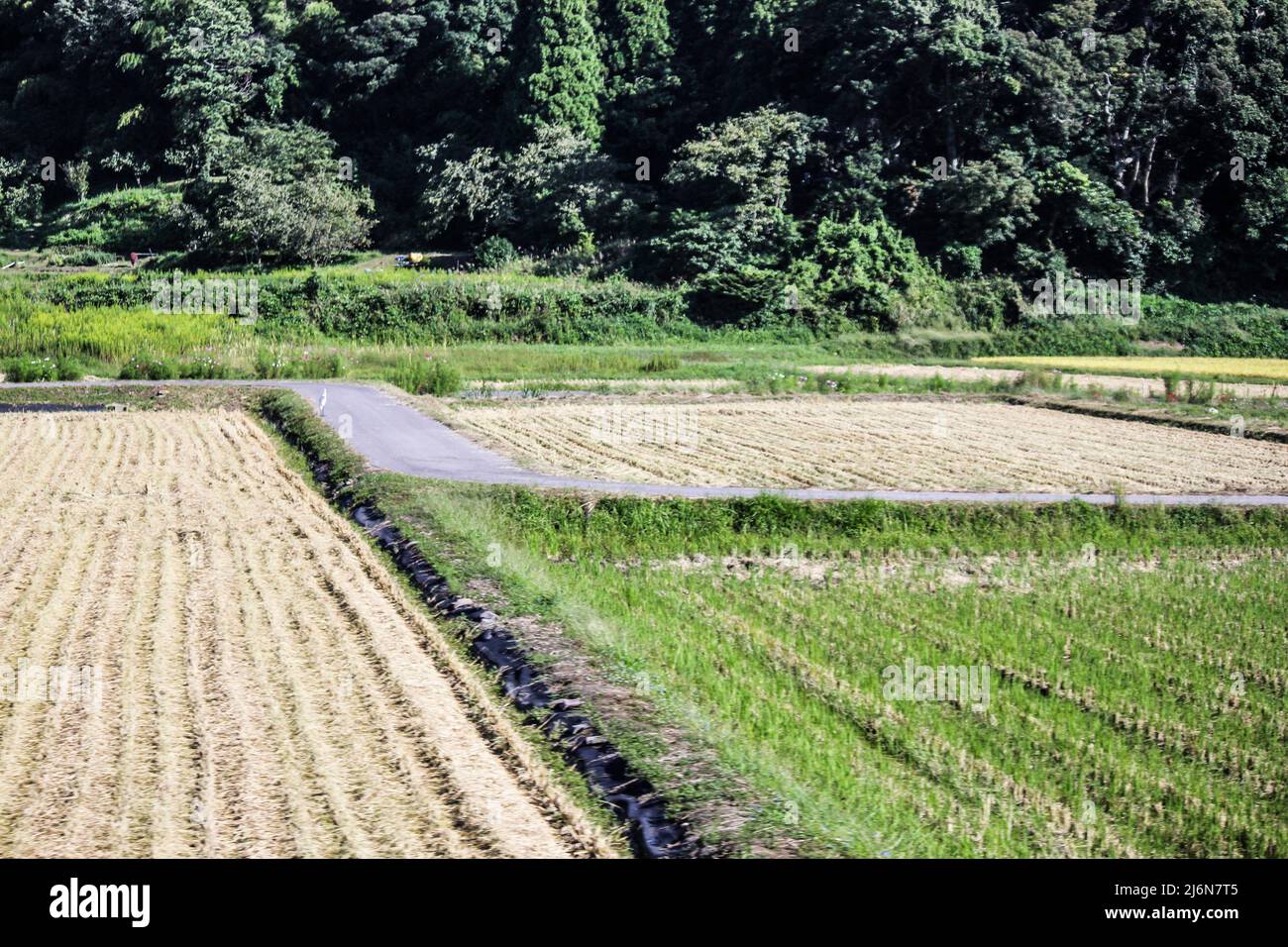 Country landscape japan hi-res stock photography and images - Alamy