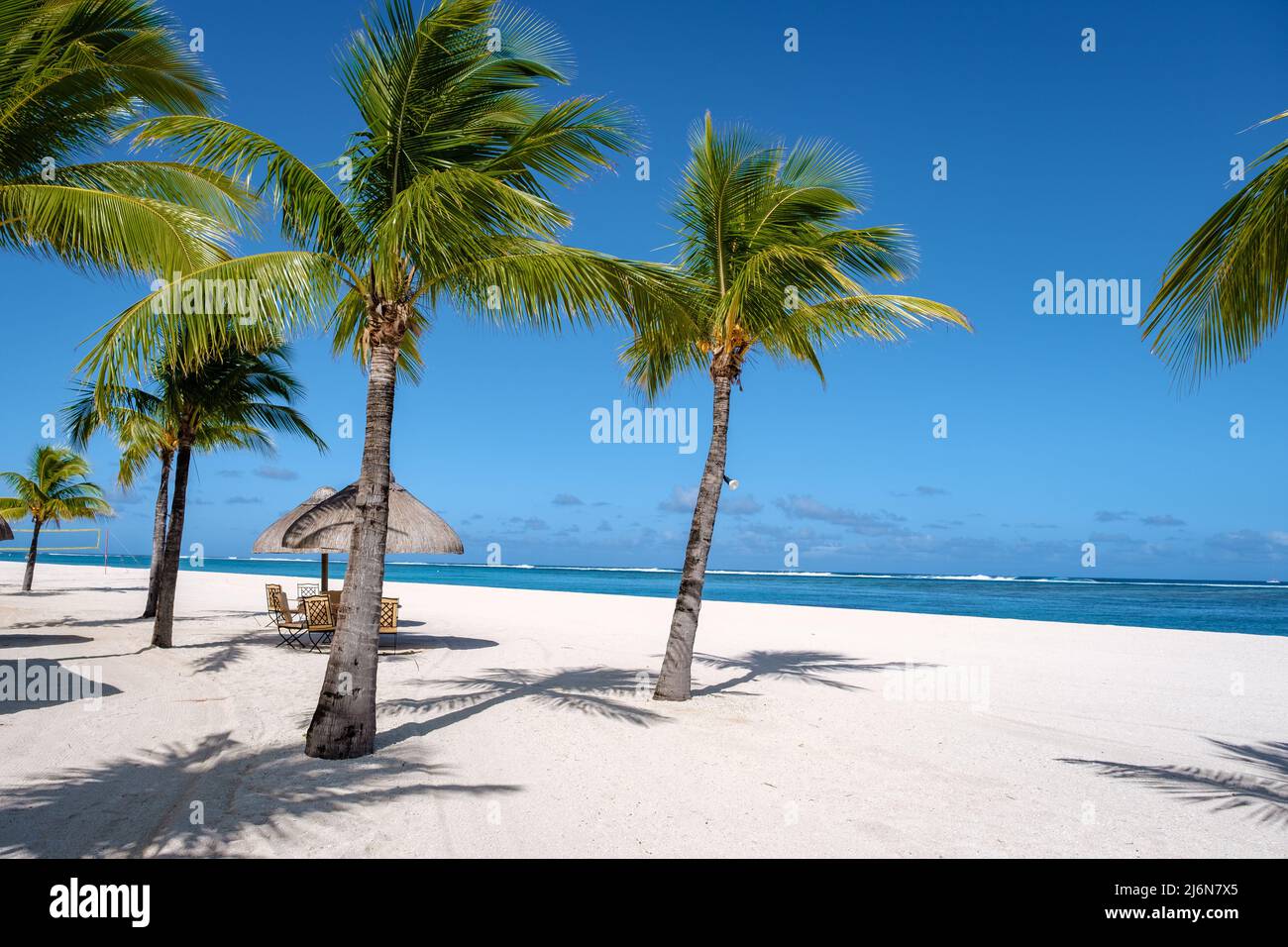 Tropical beach with white sand and palm trees Le Morne Mauritius, white ...