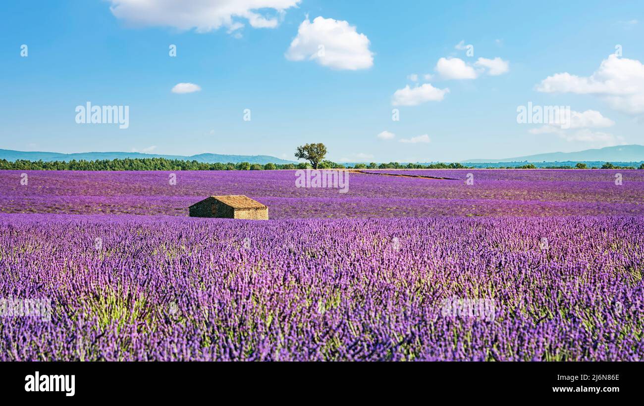 Provence landscape hi-res stock photography and images - Alamy