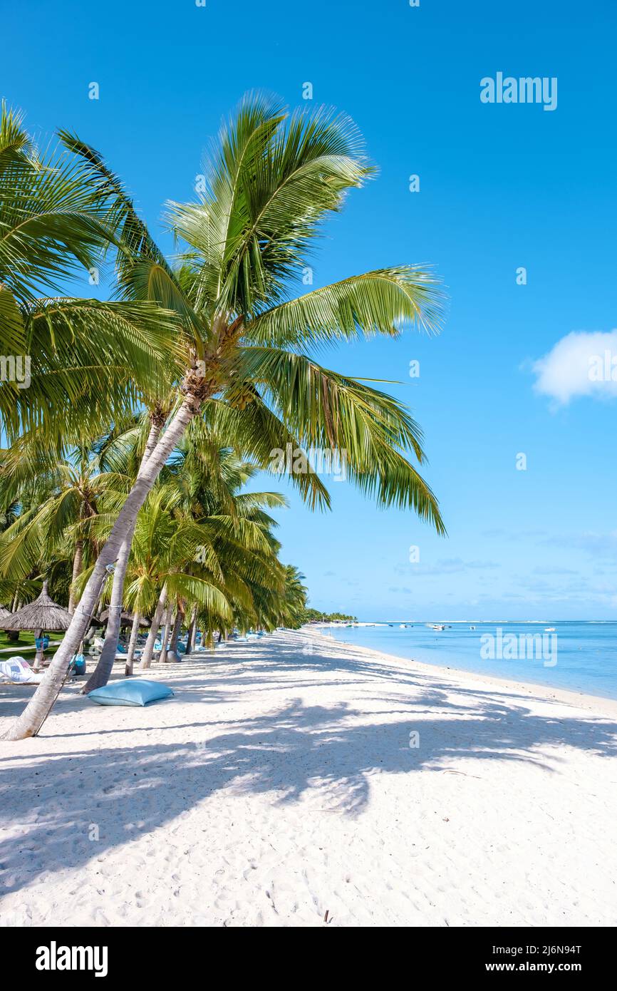 Tropical beach with palm trees and white sand blue ocean and beach beds ...
