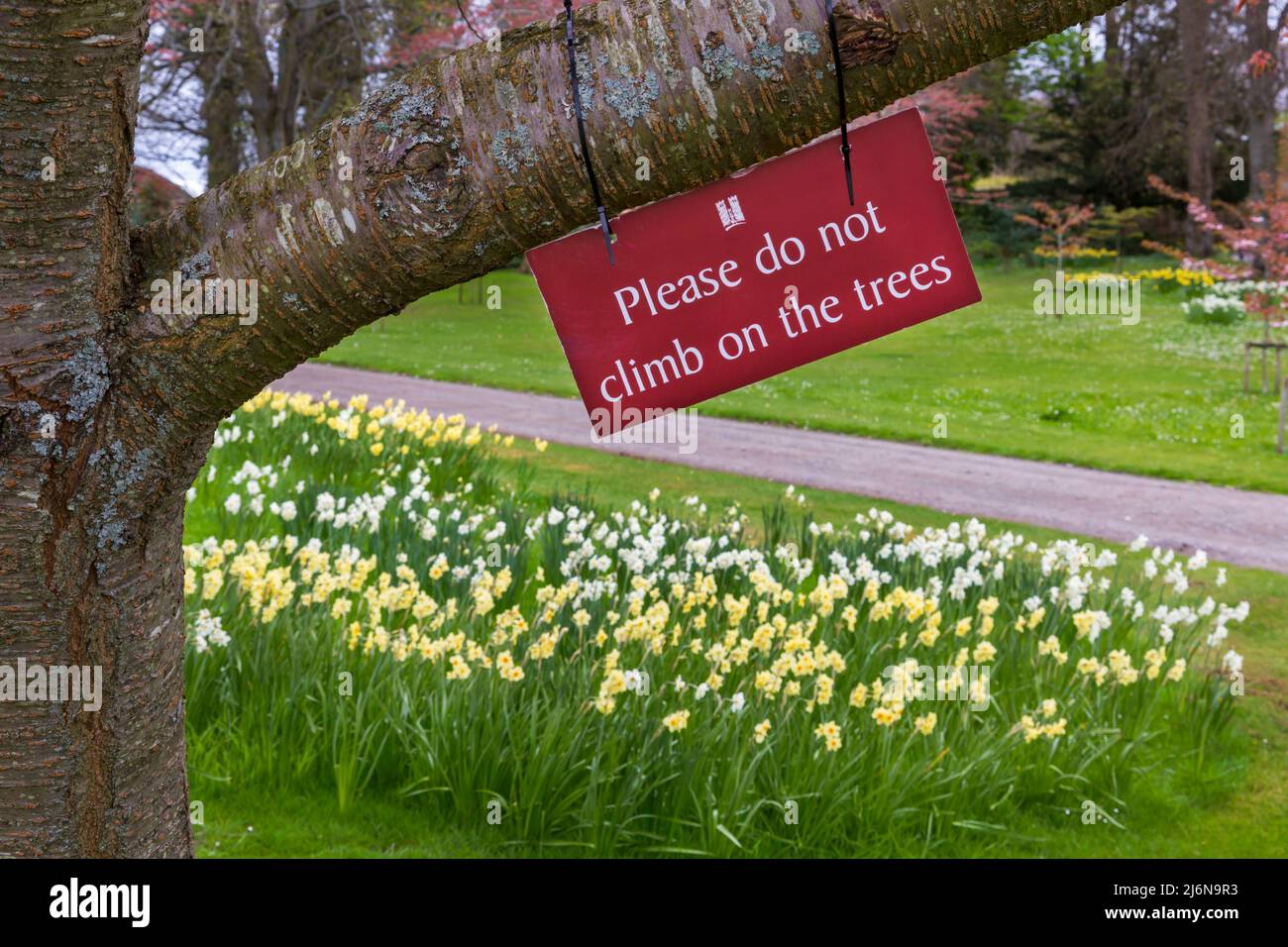 Please do not climb on the trees sign hanging from tree in grounds of ...