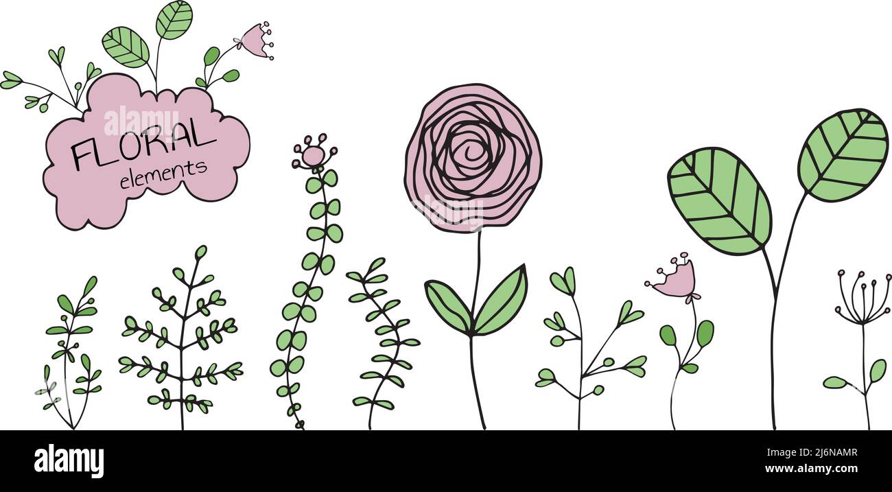 Botanical vector paintings Stock Vector Image & Art - Alamy