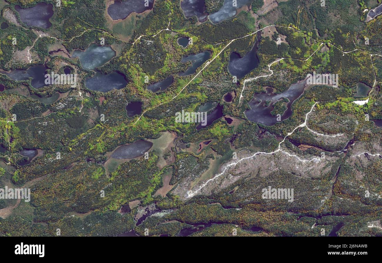 Satellite top view texture over Forest Stock Photo - Alamy