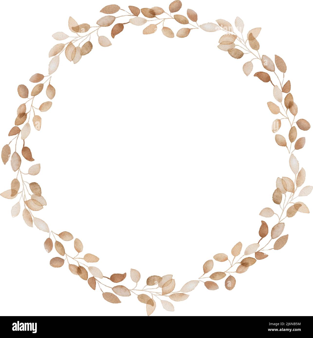 Botanical vector paintings Stock Vector Image & Art - Alamy