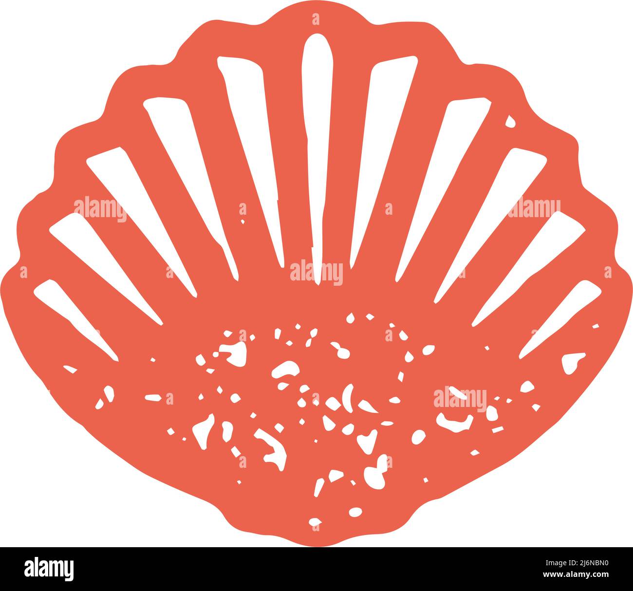 Mollusk armor hi-res stock photography and images - Alamy