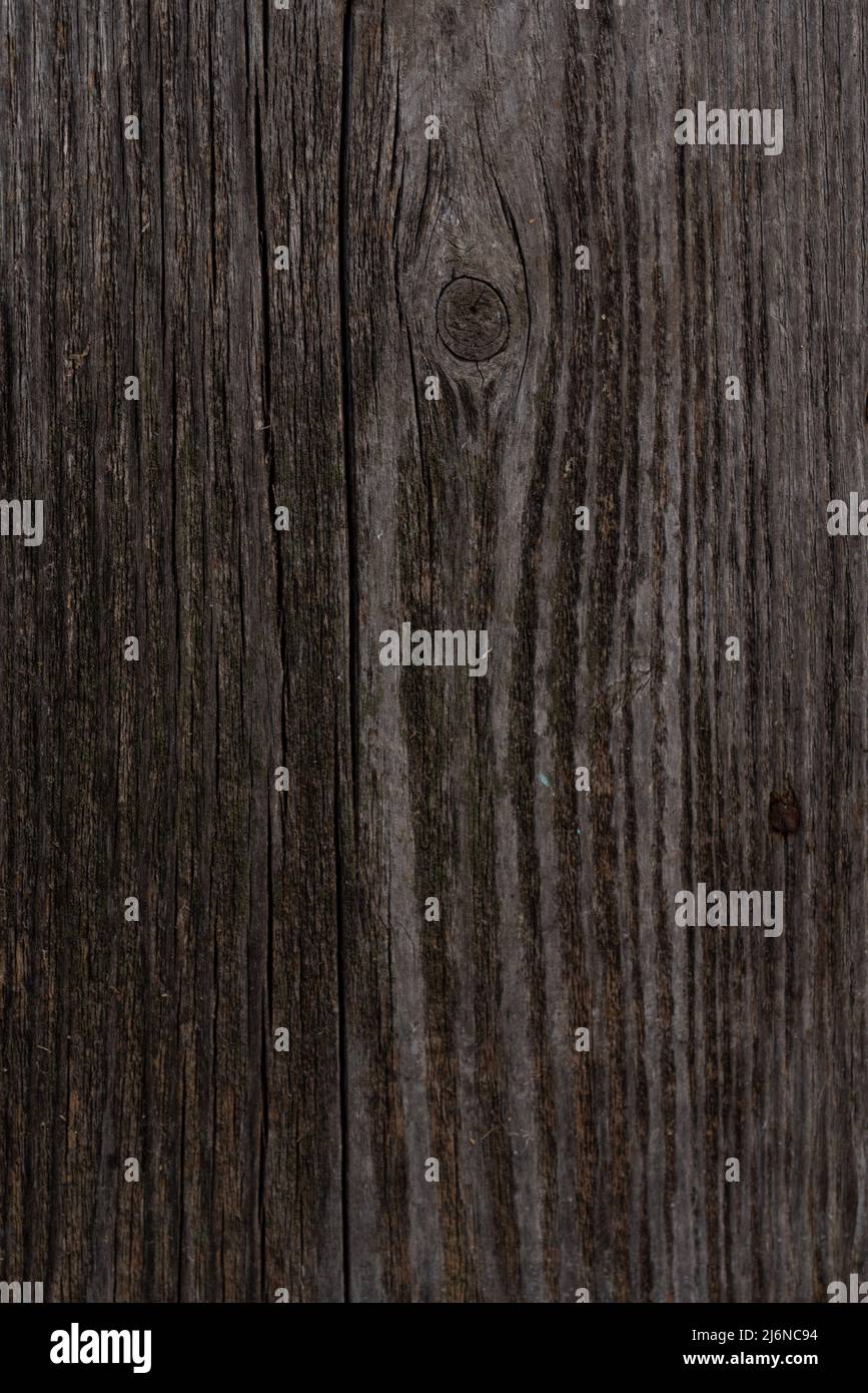Wooden background gray brown. Wood texture with a fibrous uneven ...