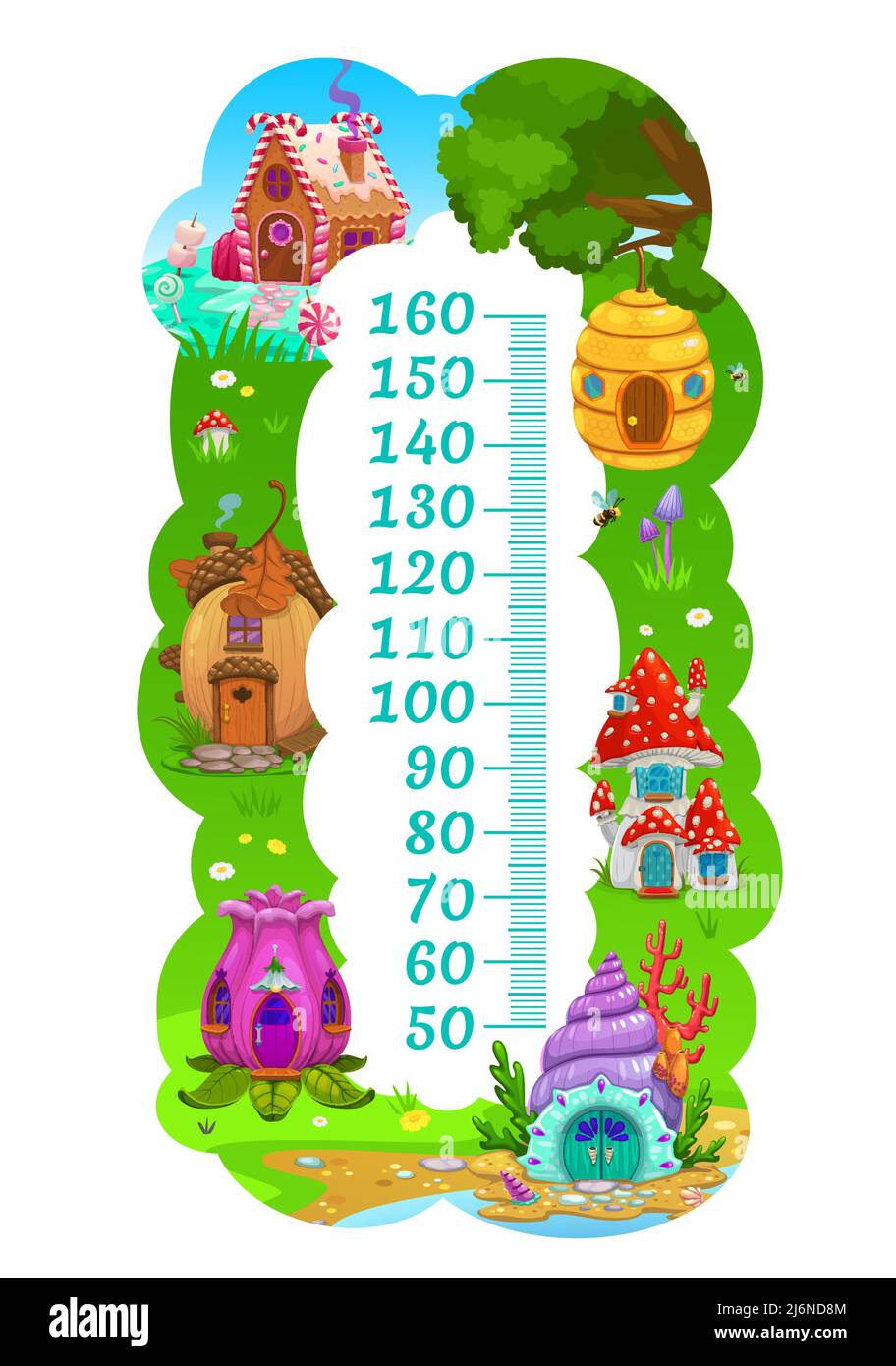 Kids height chart growth ruler meter flower and acorn, shell, beehive ...