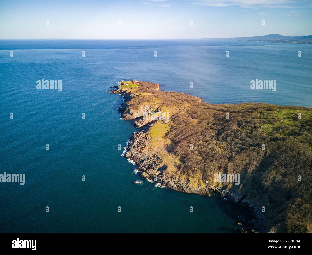 Bird's eye view panorama of a forested wild sea beach with swept spring ...