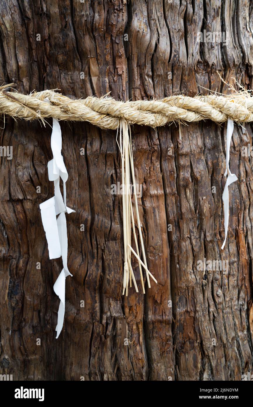 Tenso Shrine beside Kinrinko Lake, Yufuin, Oita, Kyushu, Japan Stock ...