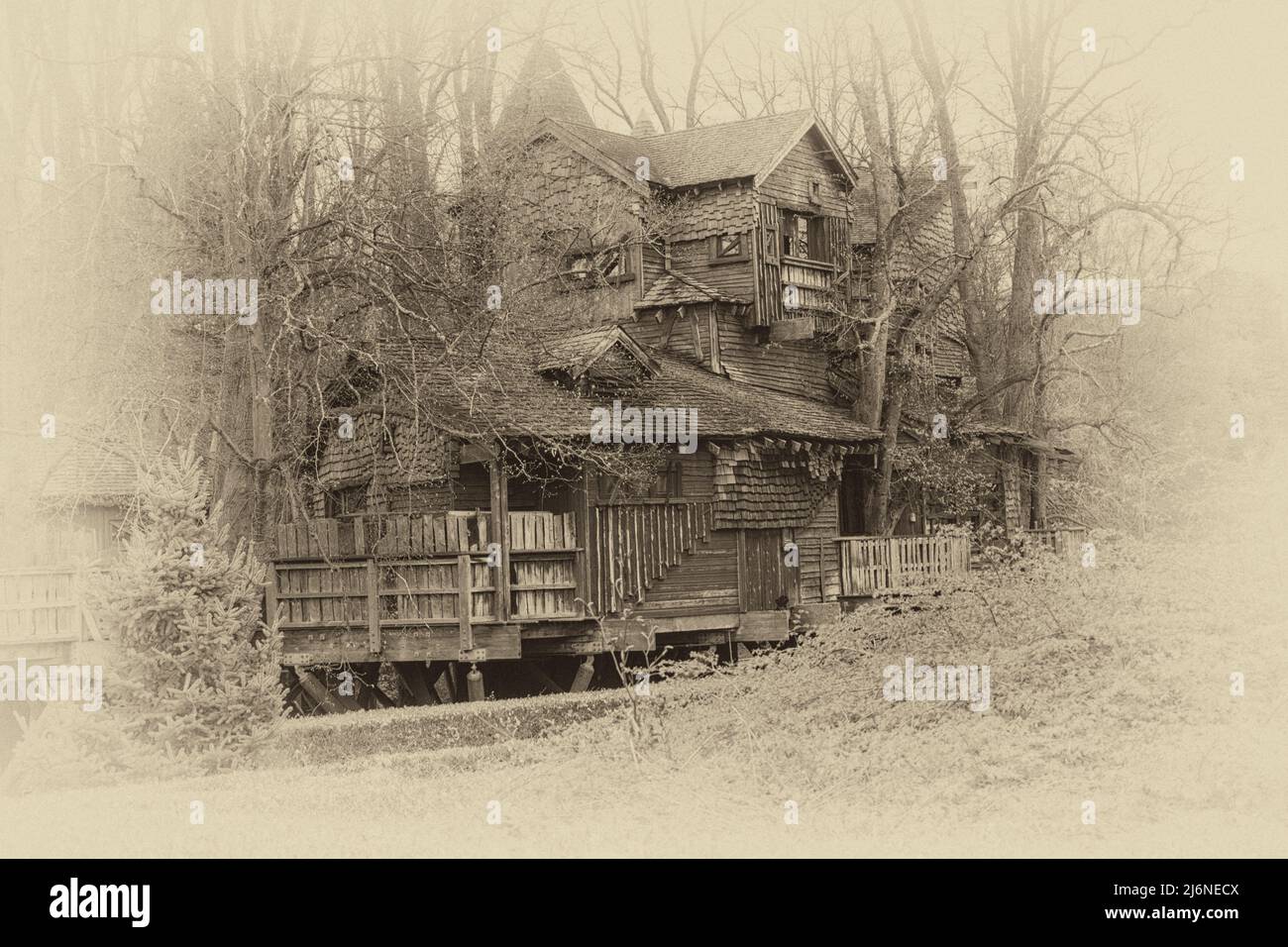 Alnwick Garden Tree House in Alnwick Gardens at Alnwick, Northumberland ...