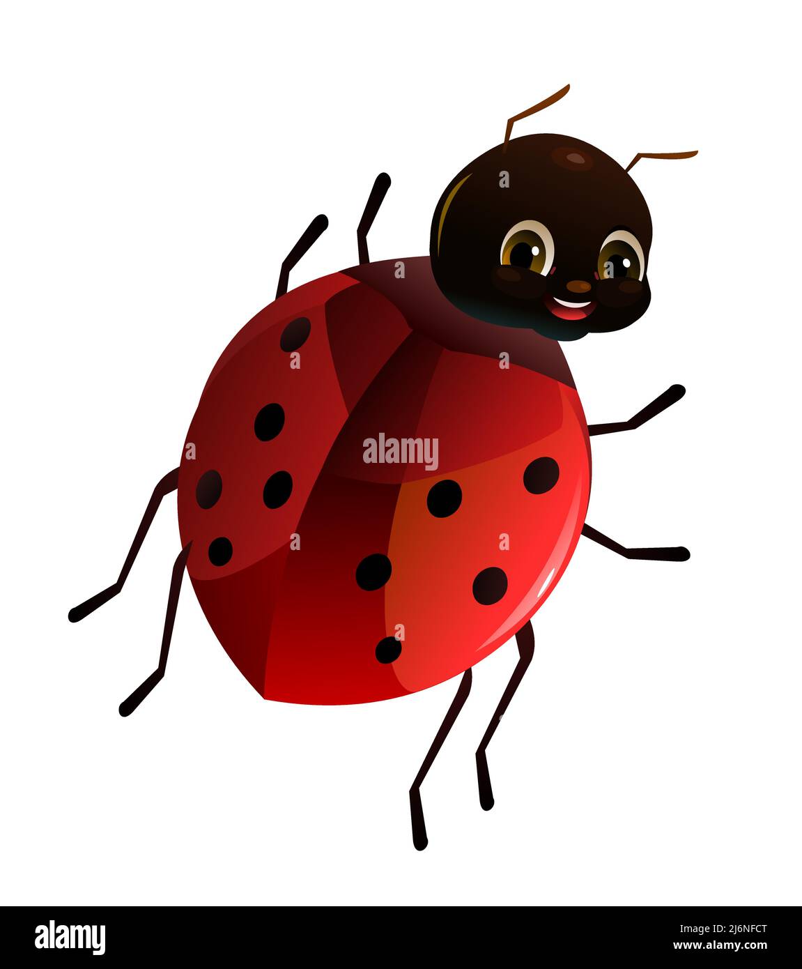 Ladybug red. View from the back. Wildlife object. Little funny insect ...