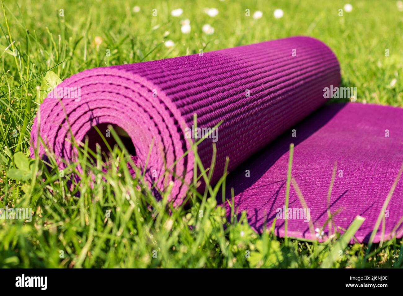 Green grass mat hi-res stock photography and images - Alamy
