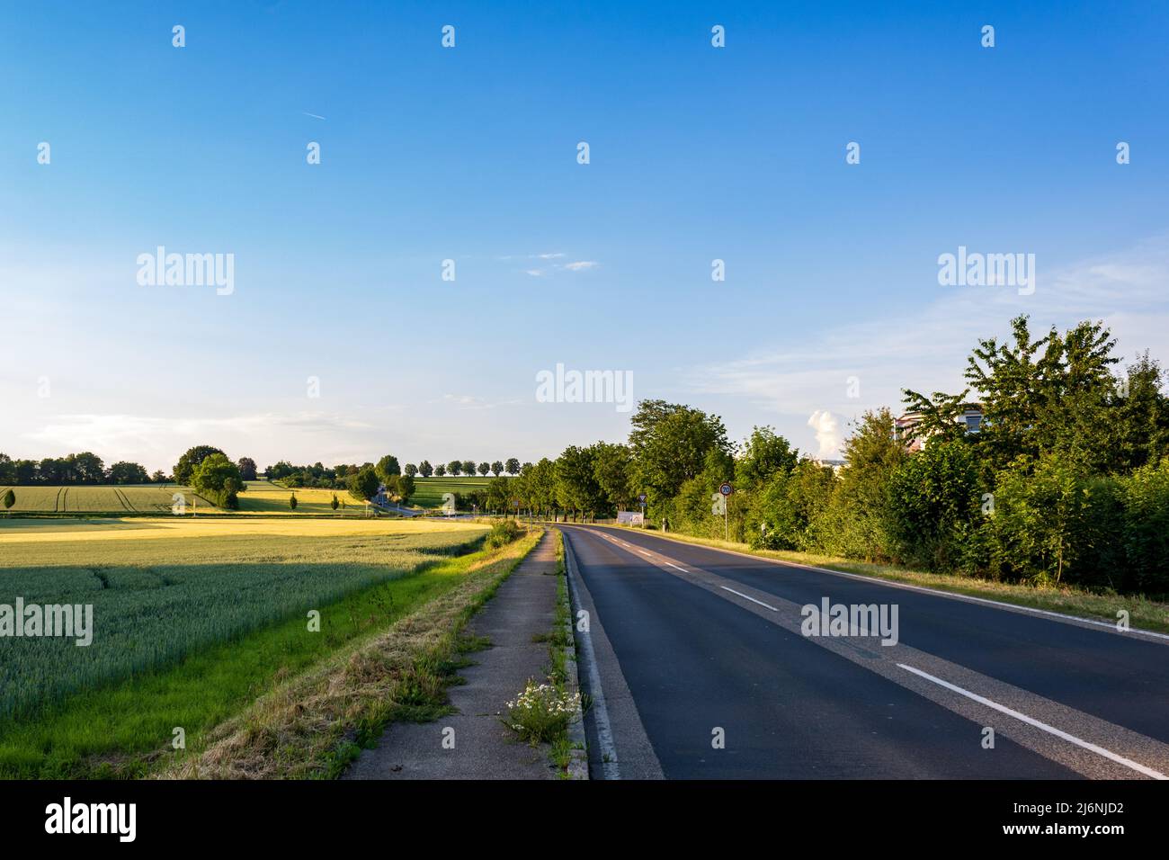 country road in rural landscape with trees at the horizon and blue sky ...