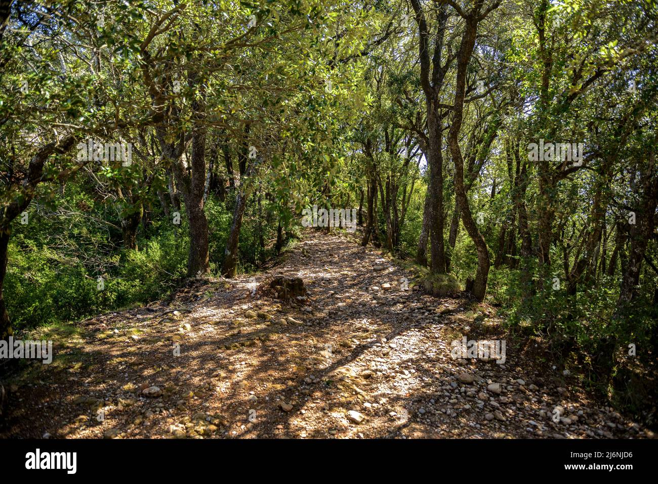 Canal de la rama hi-res stock photography and images - Alamy