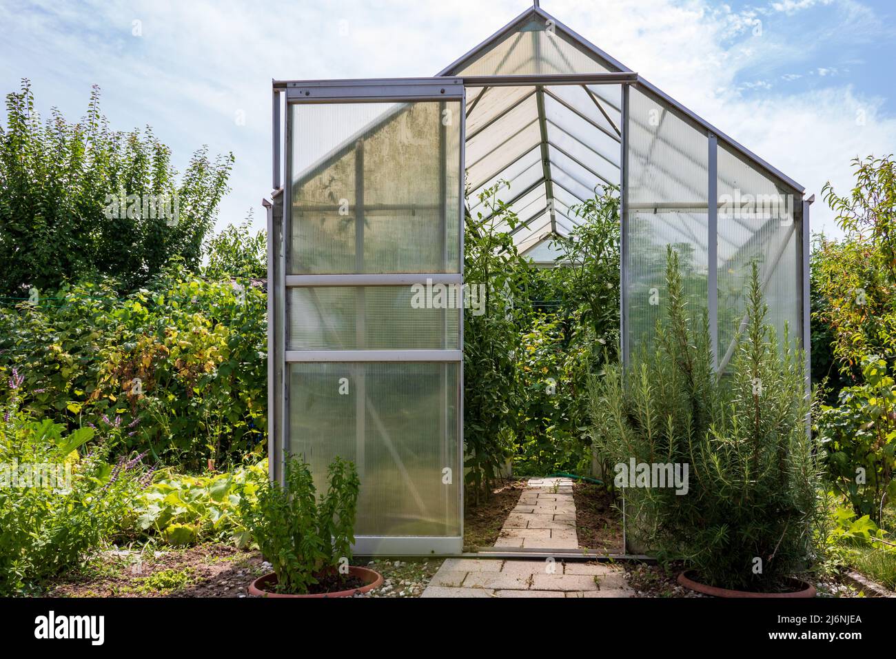 Glass greenhouse in lush garden with open door, surrounded by green ...