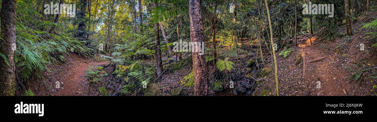 Suspended trail hi-res stock photography and images - Alamy