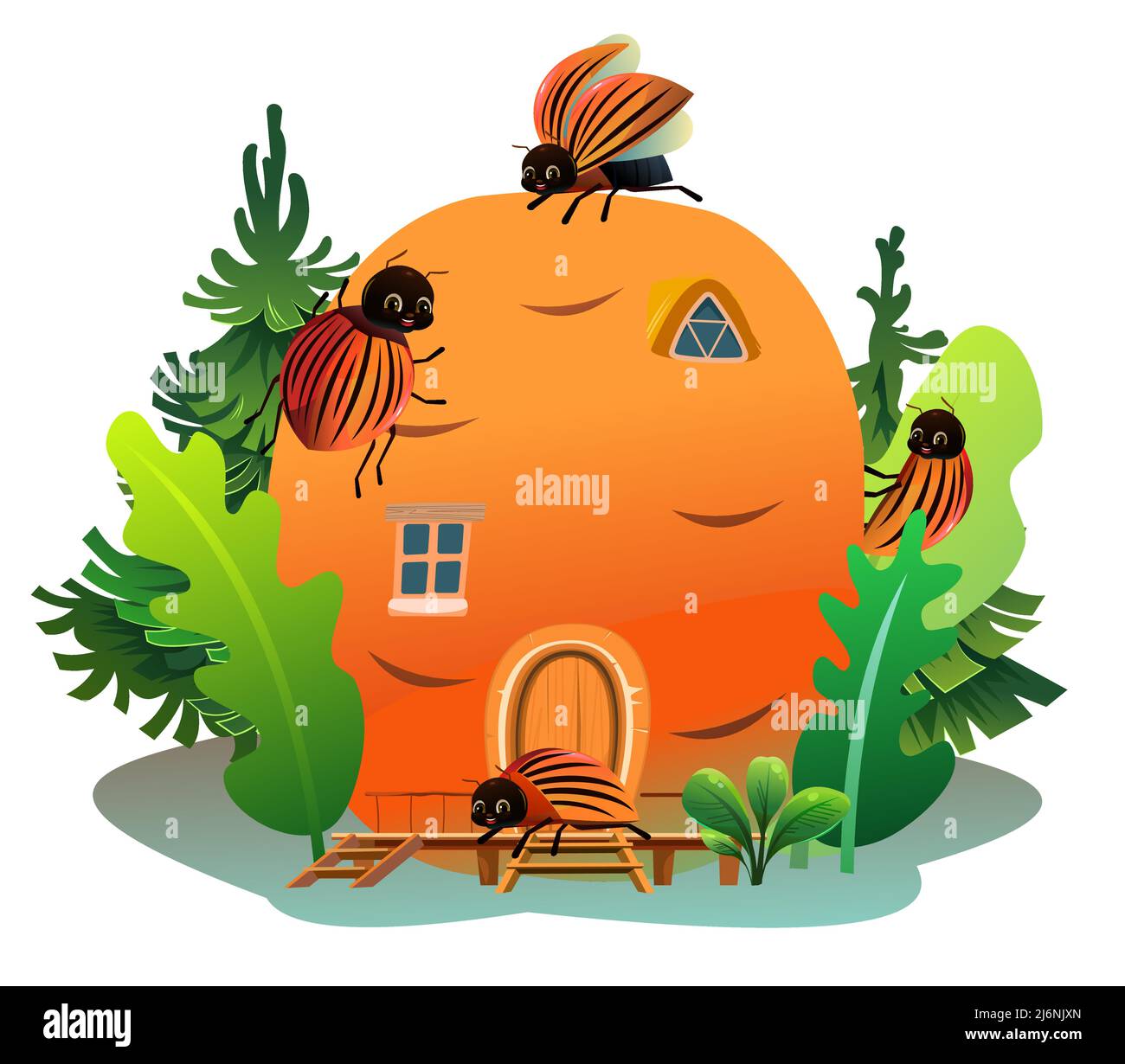 Home of Colorado potato beetle inside potato. Wildlife object. Little ...