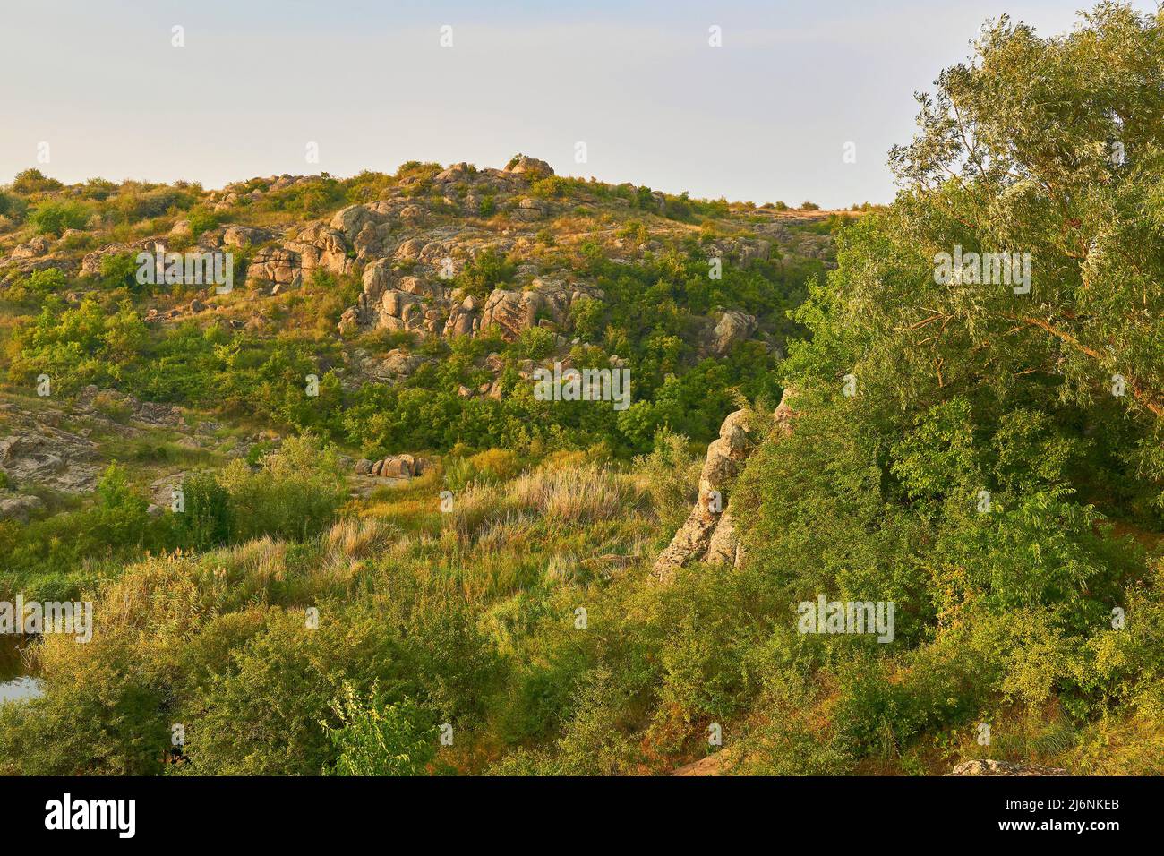 Wild rocky plain with a ravine overgrown with trees Stock Photo - Alamy