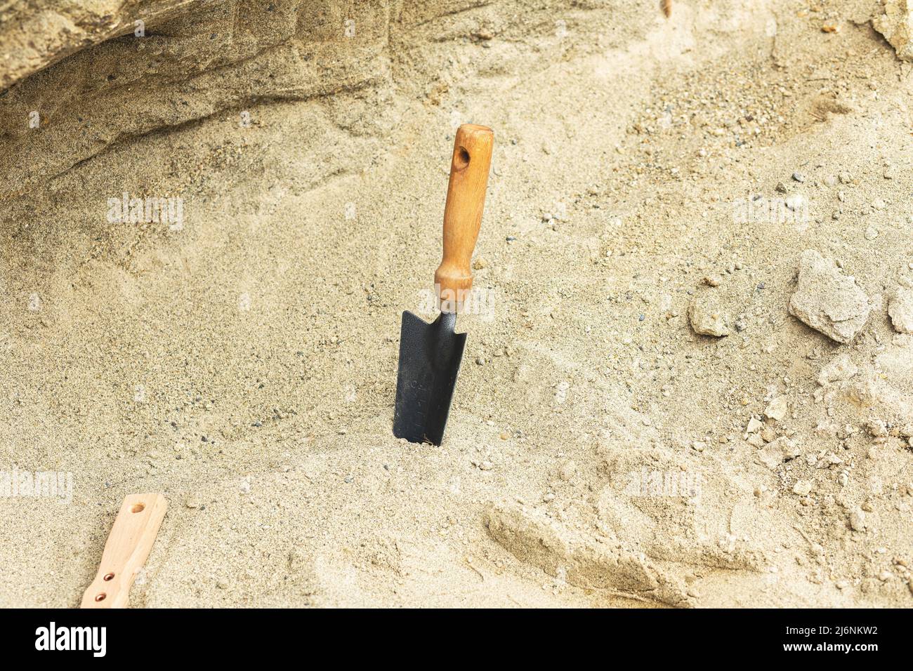 Shovel in the sand.Skeleton and archaeological tools.Digging for ...
