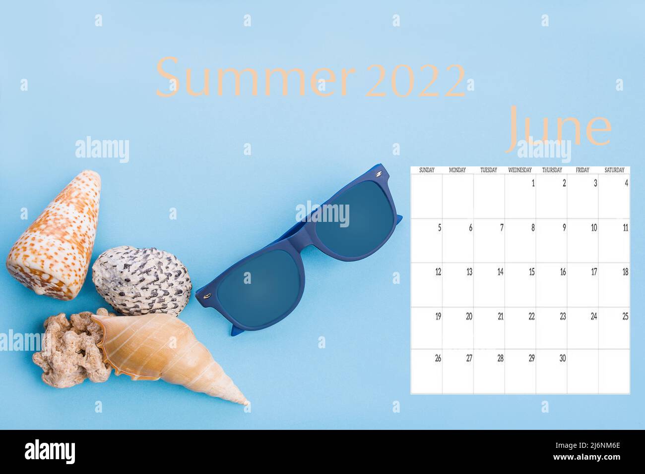 Flat lay of shells on a blue background. Seashells and hat on a pastel ...