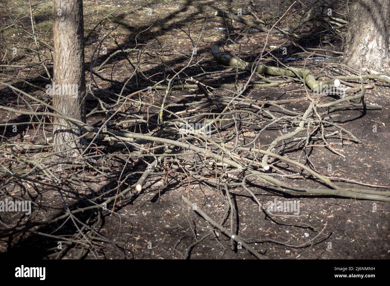 Ground processing hi-res stock photography and images - Alamy
