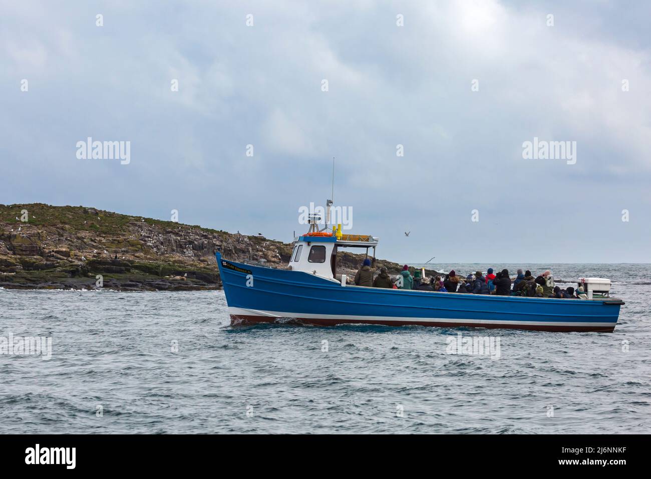 Tourists take a boat ride around the Farne Islands onboard Glad Tidings ...
