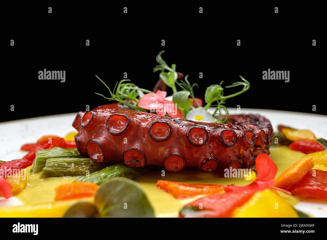 Grilled octopus tentacles on a plate with asparagus and sauce Stock ...