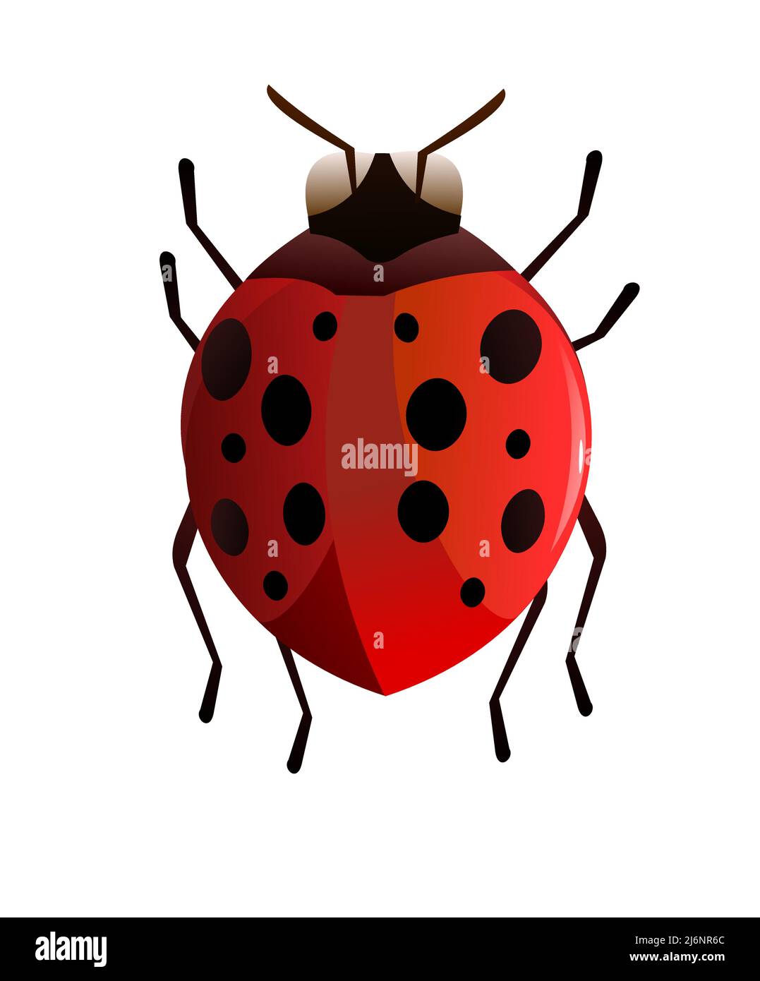 Ladybug red. Wildlife object. Little funny insect. Cute cartoon style ...