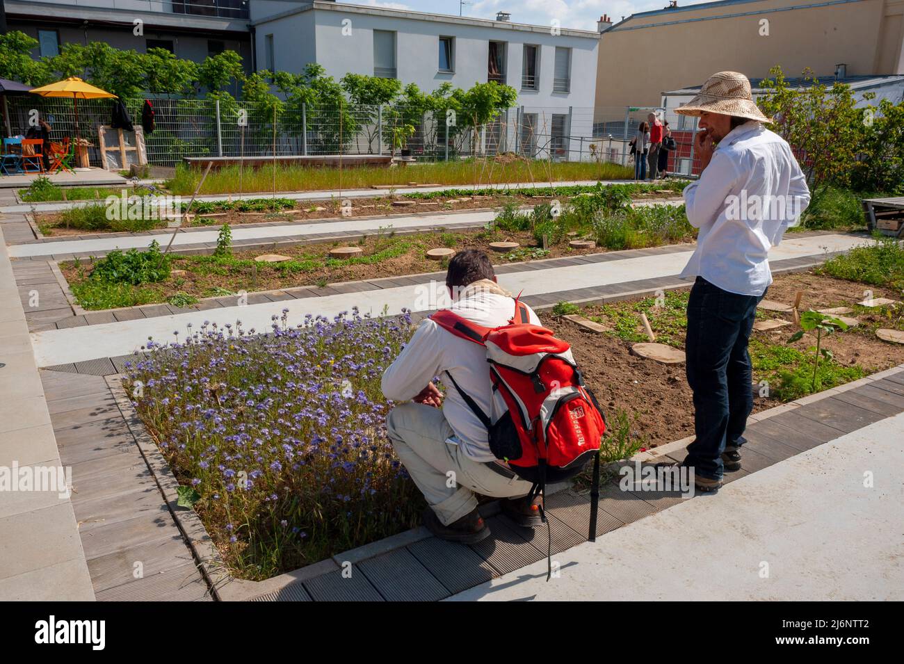 Paris, France, People Visiting, Community Roof Garden, on Top of Public ...