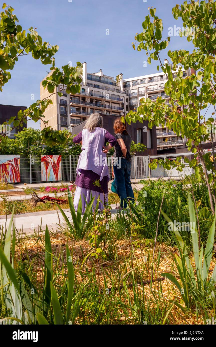 Paris, France, People Visiting, Community Roof Garden, on Top of Public ...