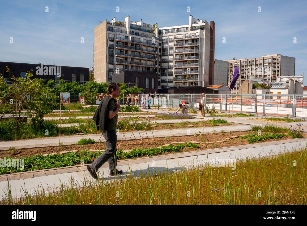 Low income public housing gardens hi-res stock photography and images ...