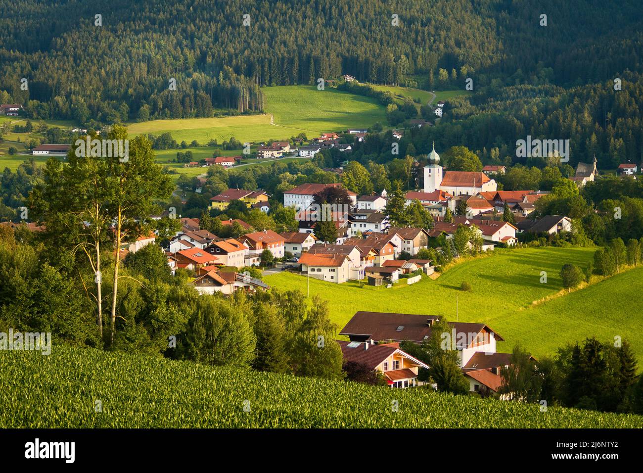 Lam, a small town in Bavaria in the summertime in the evening sun. Part ...
