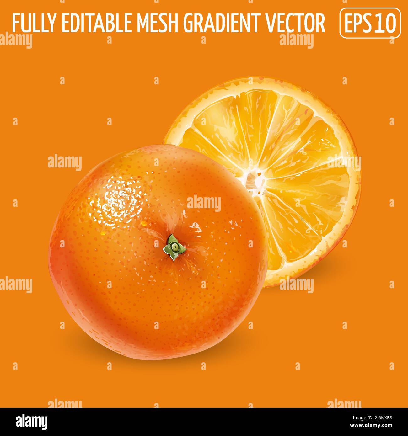 Whole orange with a round slice on an orange background Stock Vector ...