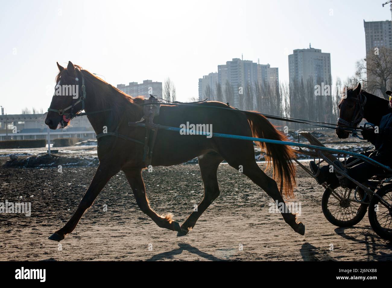 Kyiv Hippodrome, Kyiv, Ukraine Stock Photo - Alamy