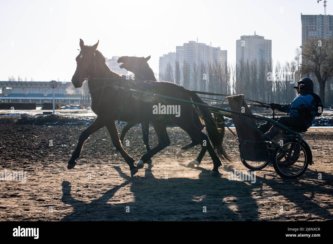 Kyiv Hippodrome, Kyiv, Ukraine Stock Photo - Alamy